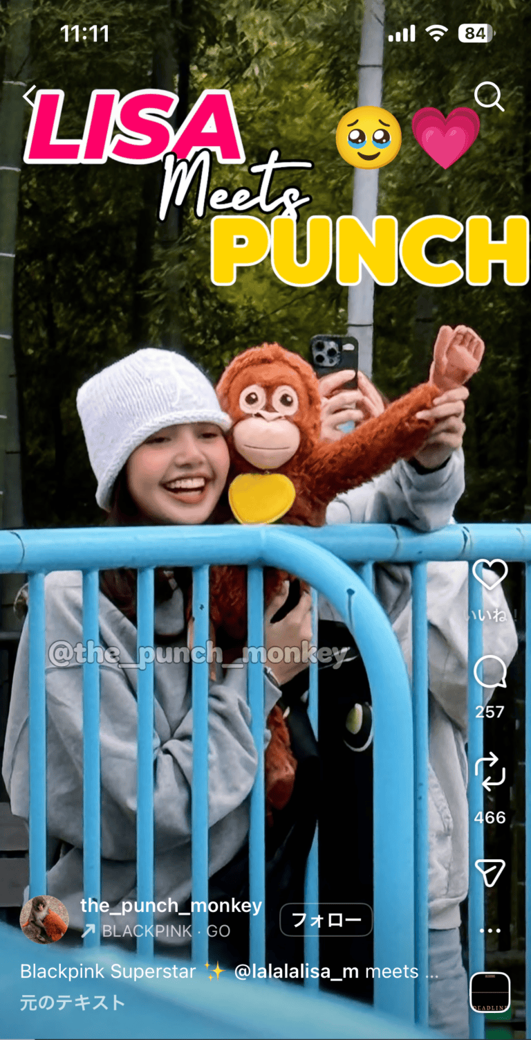 BLACKPINKのLisa、市川市動植物園へ？子ザル「パンチくん」との出会いが話題 | どうぶつのこと。～動物の動画や雑学が毎日見つかるサイト～