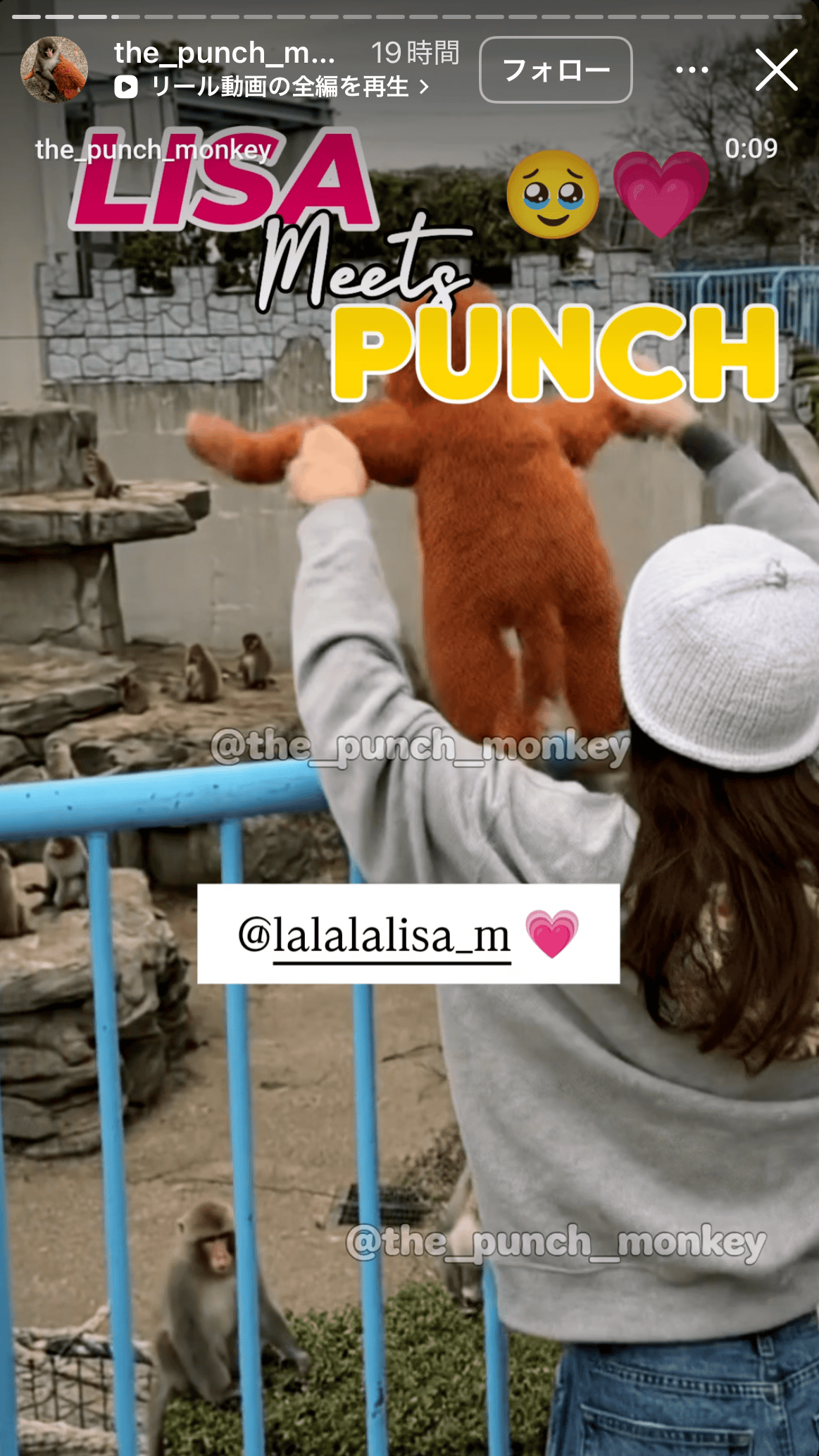 BLACKPINKのLisa、市川市動植物園へ？子ザル「パンチくん」との出会いが話題 | どうぶつのこと。～動物の動画や雑学が毎日見つかるサイト～